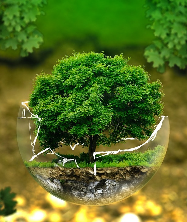 Environmental And Social Impact Assessment environmental-and-social-impact-assessment